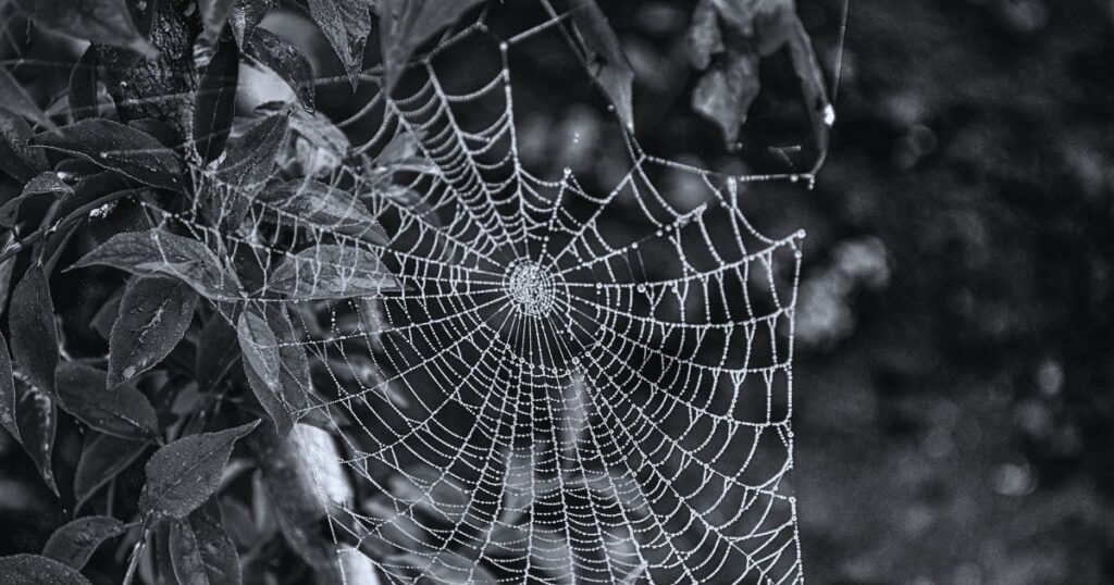 Understanding Sangfor’s Integrated Solutions: Definition, Key Benefits ...